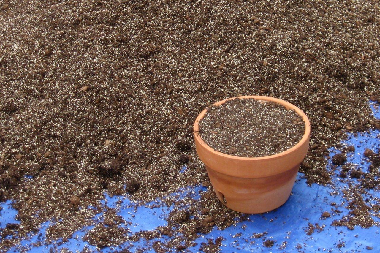 Growing Healthy Plants: Improve Soil with the Right Potting Mix ...