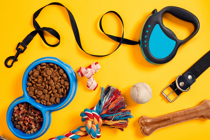 A Guide to Pet Accessories: Create a Good Home for Your Furry Friend ...