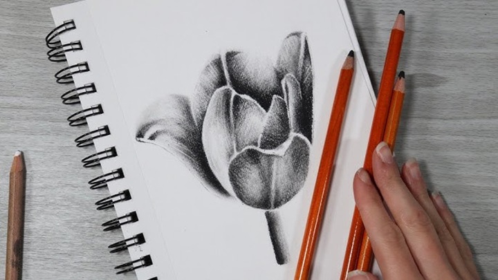 Intensify Your Art: A Beginner's Guide to Charcoal Pencils | Available ...